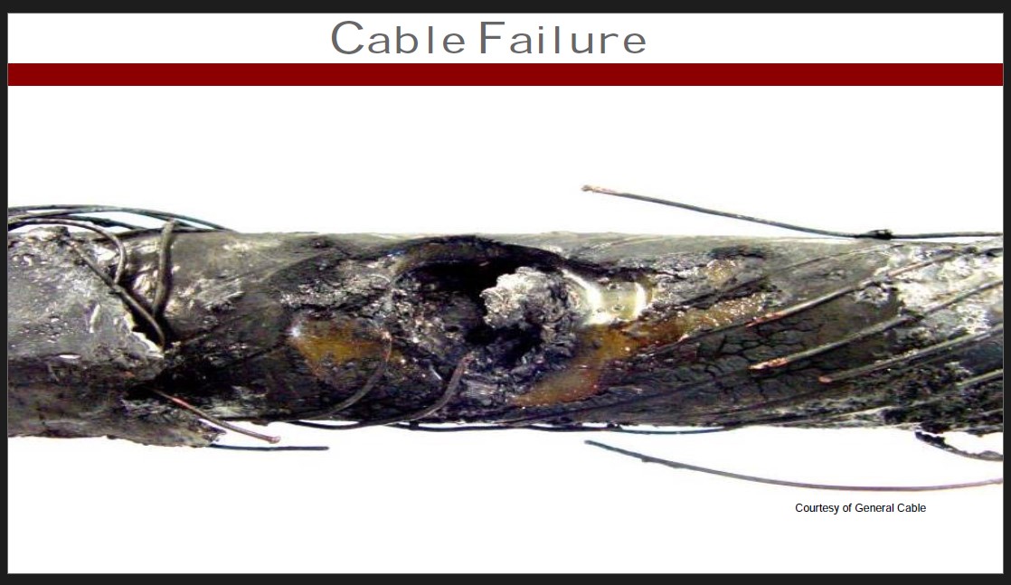 Newsletter March 2025 - Infra-Red BPSInfra-Red BPS | Building and Power ...